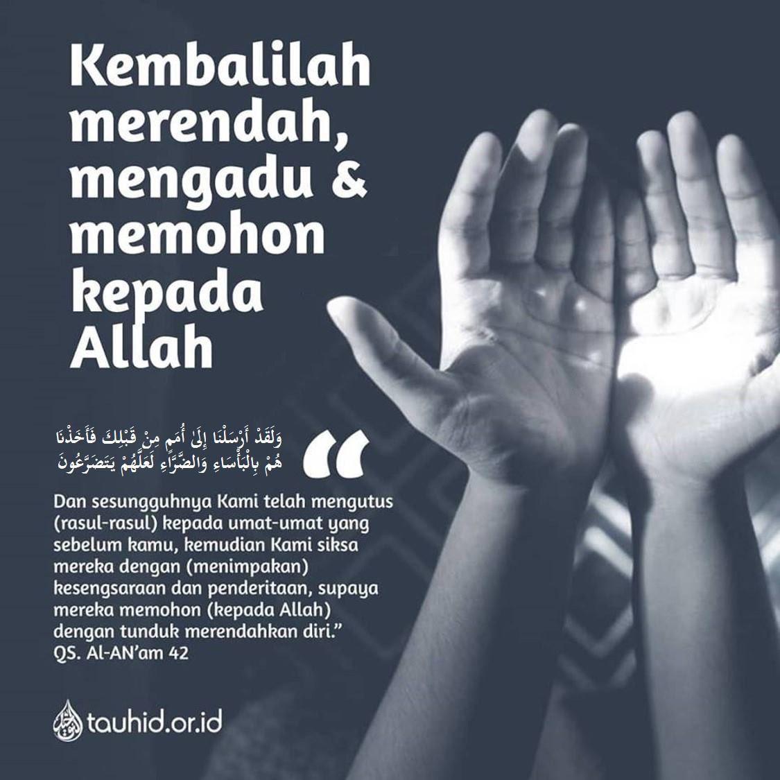 Kembalilah Merendah, Mengadu, dan Memohon