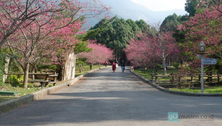 Formosan Aboriginal Culture Village, Perpaduan Wisata Alam dan Budaya ...
