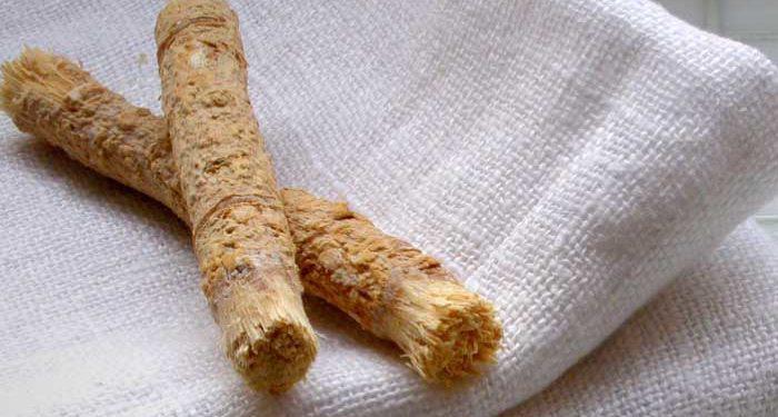 Cara Memakai Siwak - Perumperindo.co.id