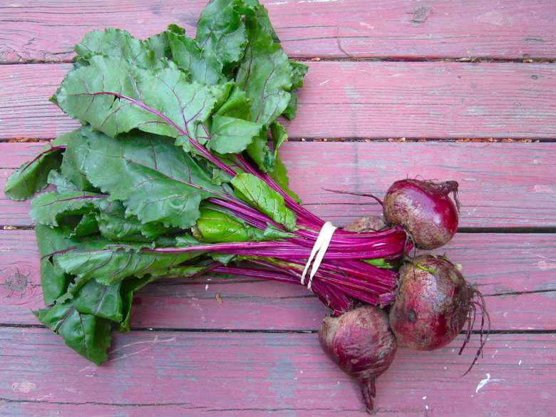 Tak Hanya Buahnya, Manfaat Daun Bit Tak Kalah Menyehatkan