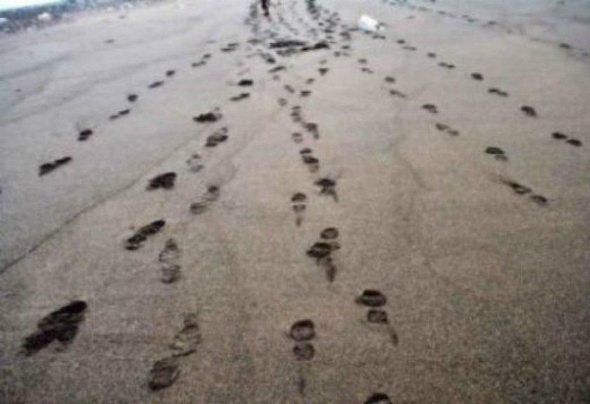 Apakah Benar Nabi Adam Manusia Pertama di Muka Bumi?