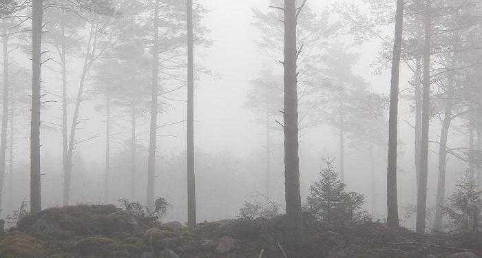 5 Tingkatan Roh Manusia