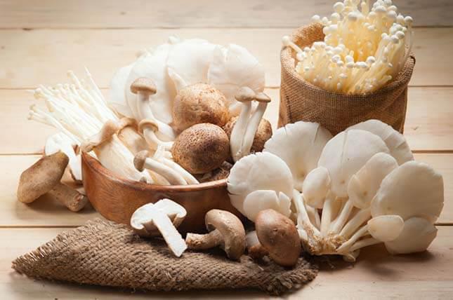 Ini, Lho, Ciri Jamur Layak Dikonsumsi Sebagai Makanan Sehat