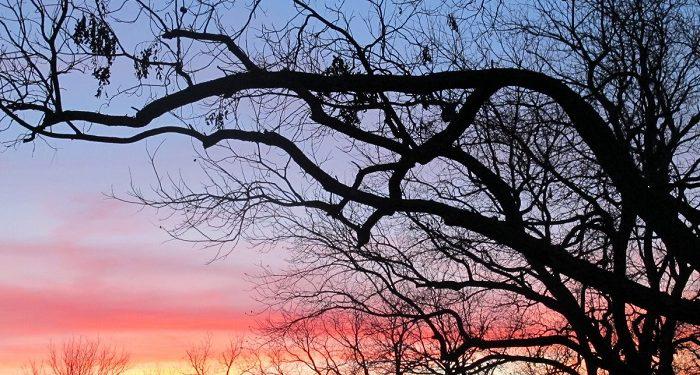 Berhati-hatilah Ini 9 Anak Cucu Setan