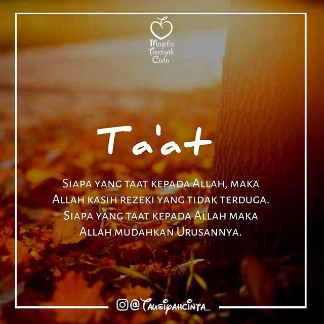 Taat