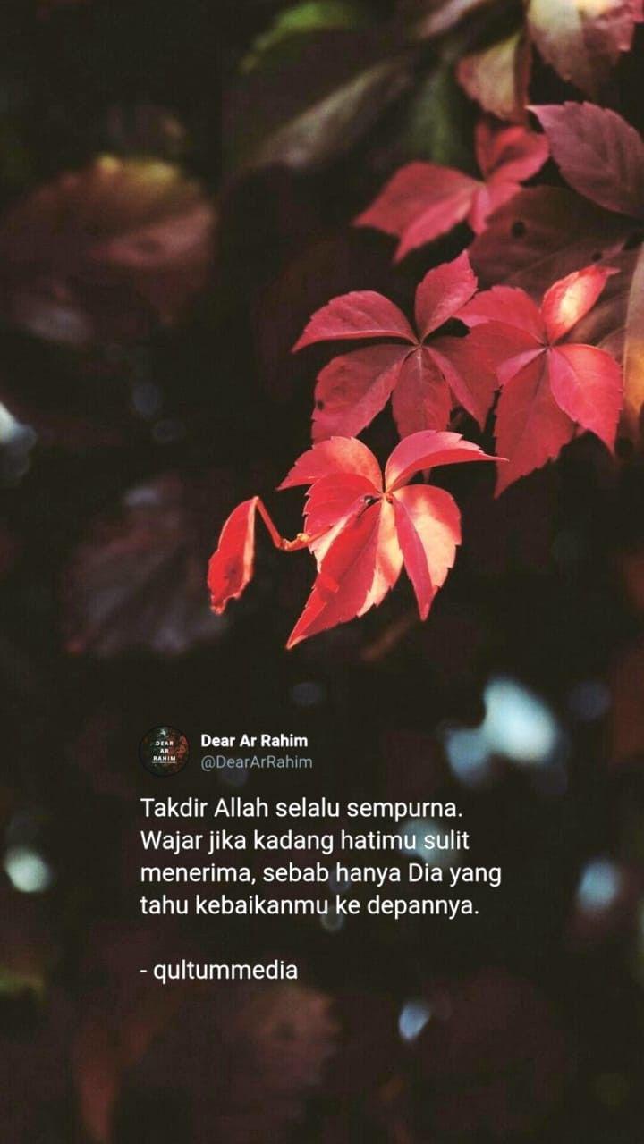 Jangan Takut, Takdir Allah Selalu Sempurna