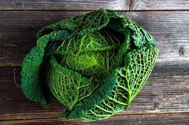 Ketahui 4 Jenis Kubis dan Manfaatnya untuk Kesehatan Kamu!